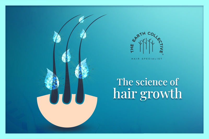 Science of Hair Growth & Effective Hairfall Cure – The Earth Collective