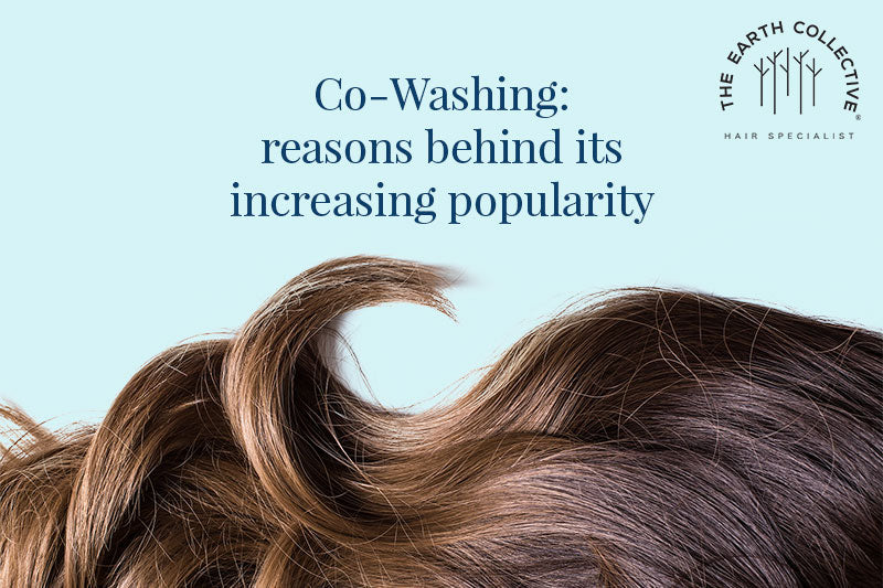 Co-Washing Hair: Unveiling the Secrets to Healthier Locks – The Earth ...